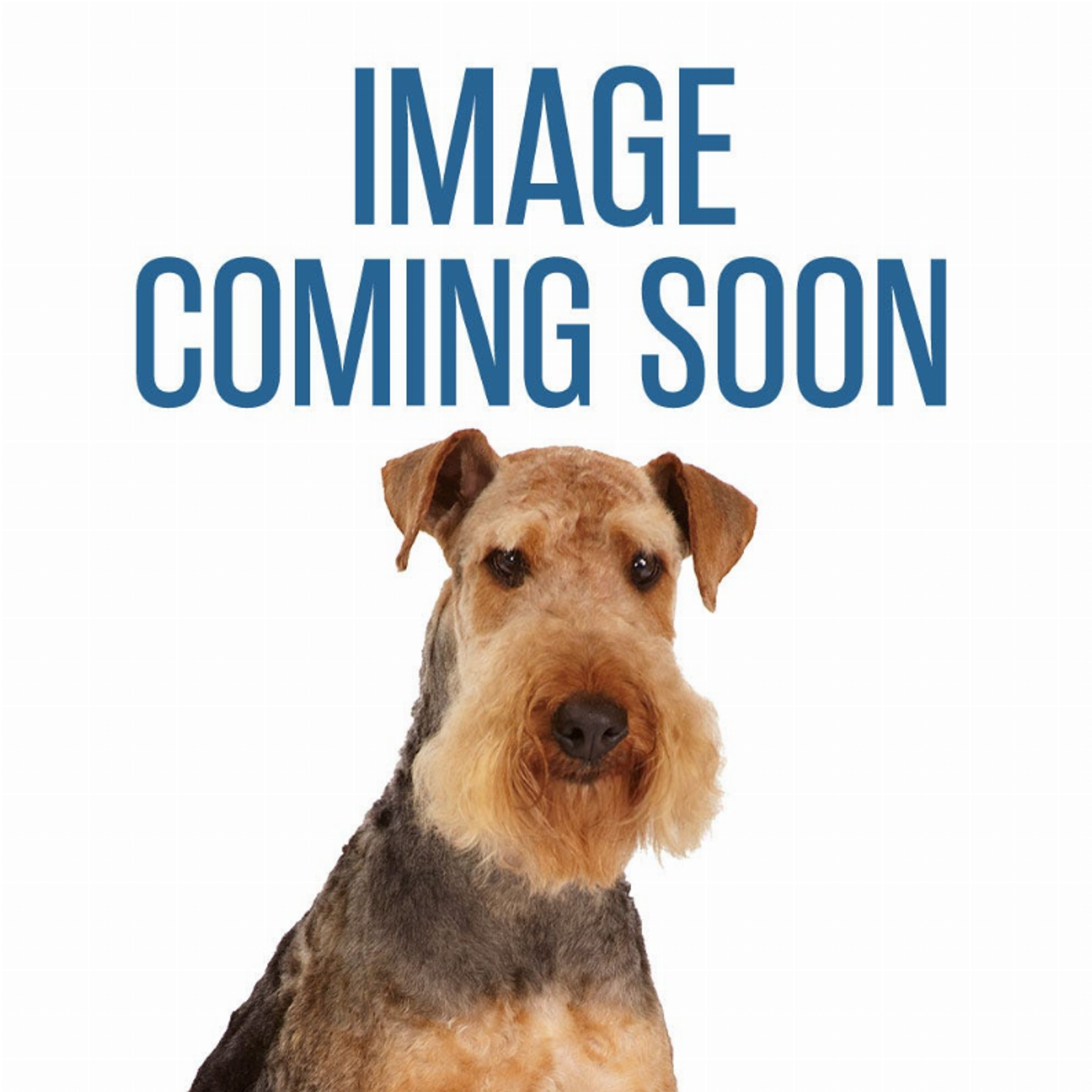 CHP Rope Braided Body Toy - MyPetsEssentials