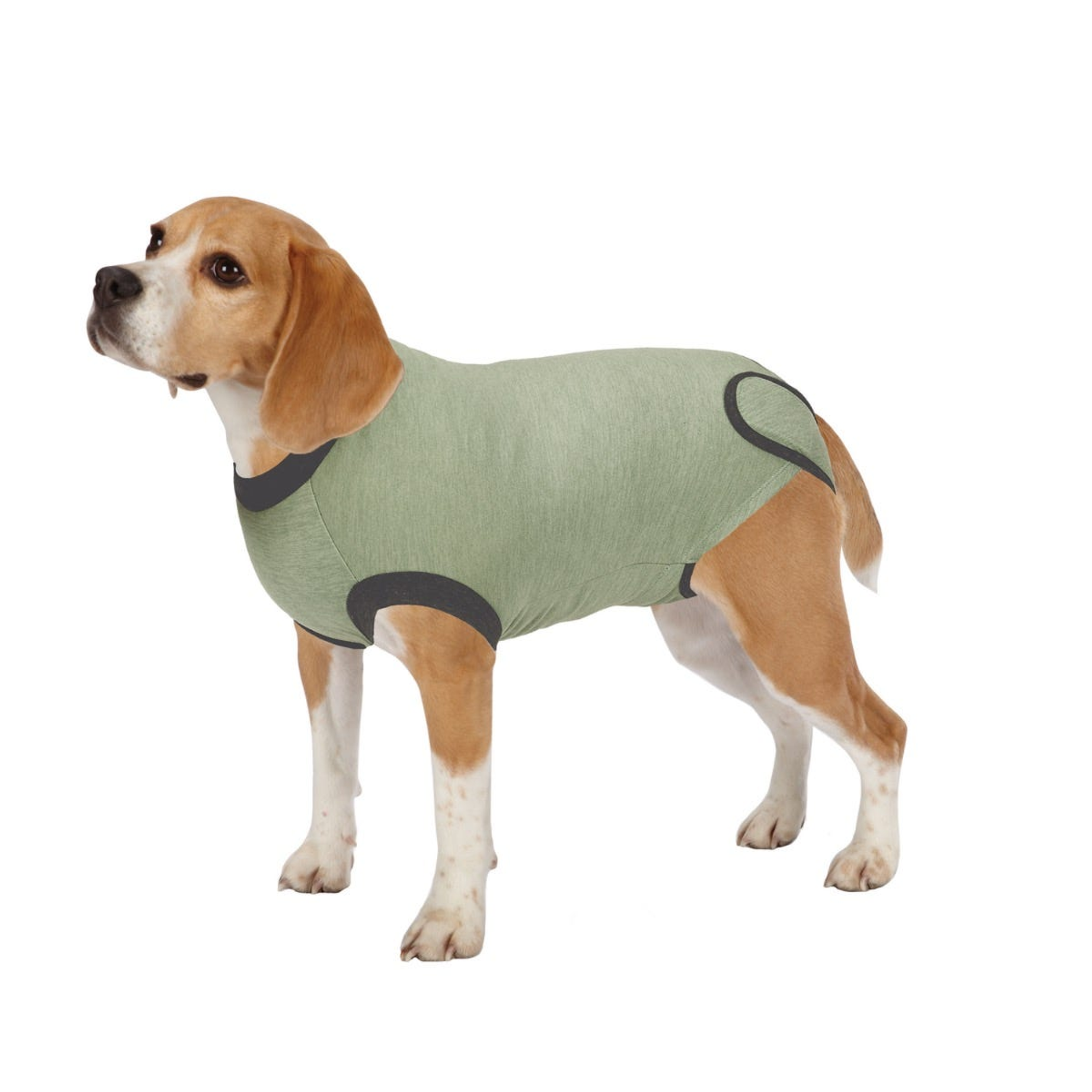 TPH Recovery Suit M 1 - MyPetsEssentials