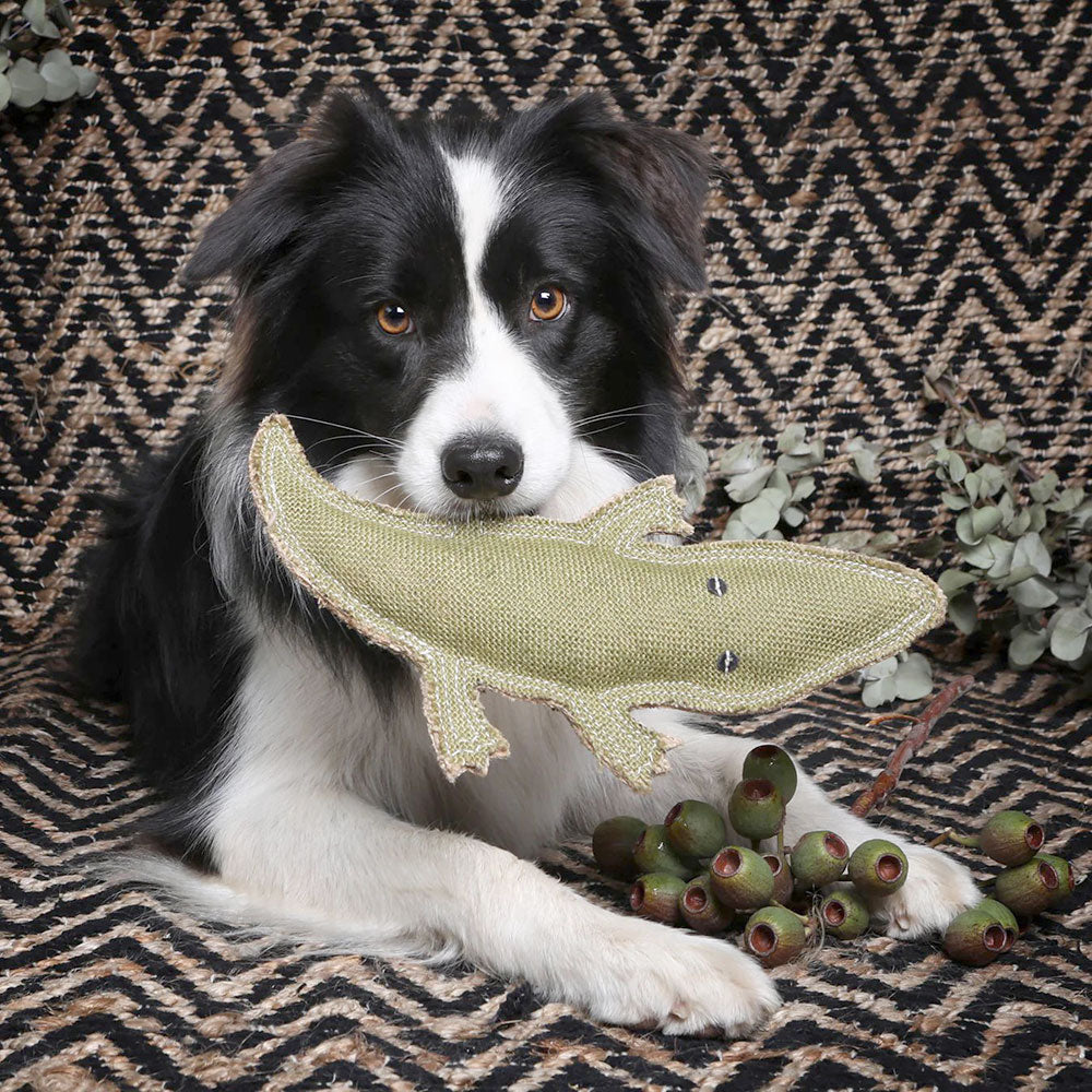 DOOG Outback Tails Steve the Cory Crocodile Jute Chew Toy ...